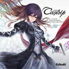 CODE-49 - THBWiki · 专业性的东方Project维基百科 - TBSGroup